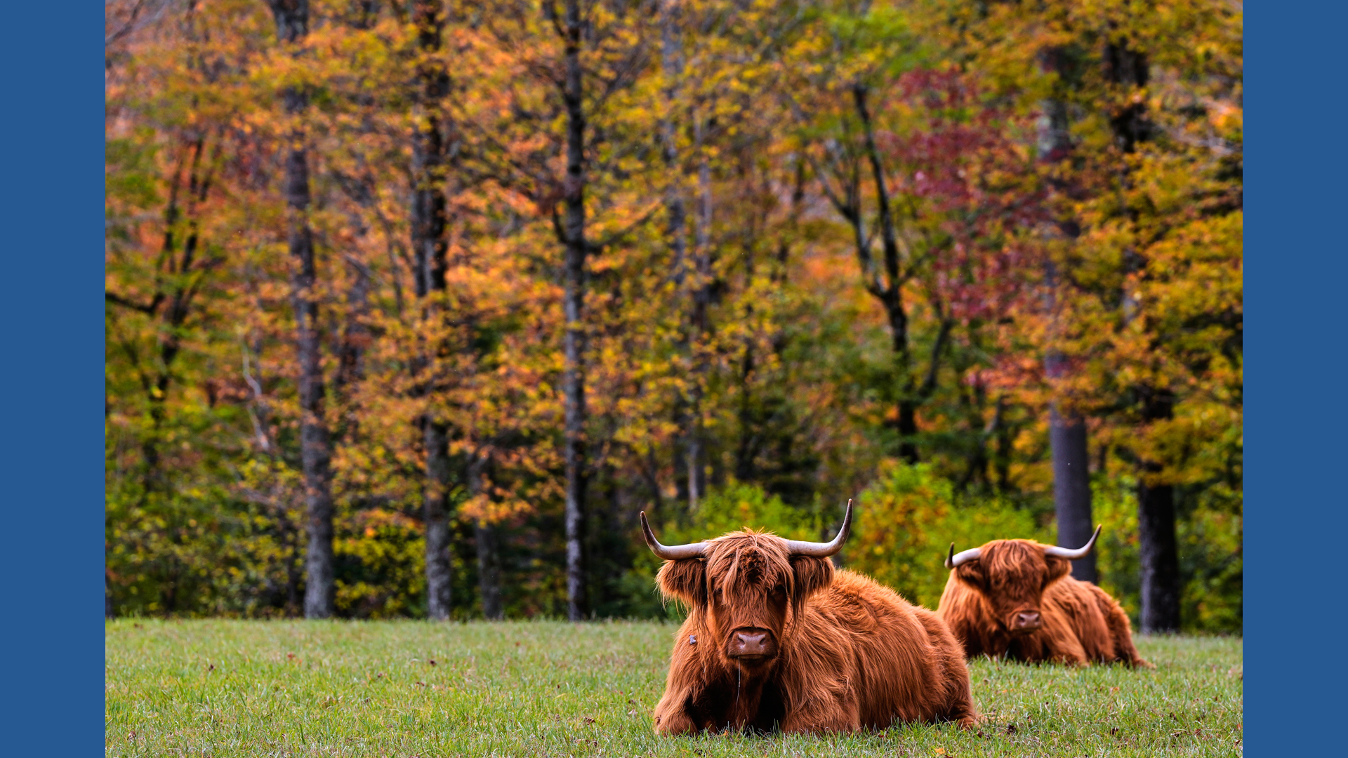 Cleveland Metroparks Zoo brings back Boo at the Zoo, adds Halloween 5K ...