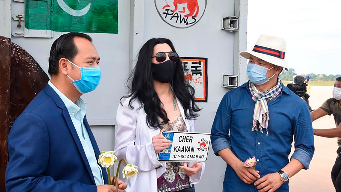 Cher helps 'world's loneliest elephant' find new sanctuary home | wkyc.com