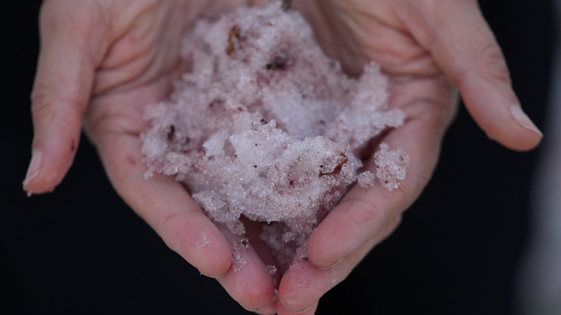 What is Watermelon snow? Pinkish snow in Utah piques curiosities | wkyc.com