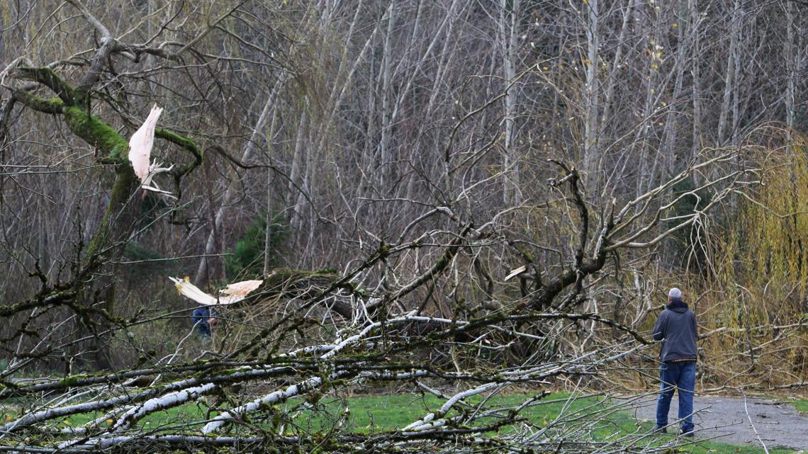 Annabelle Childers, 3News Reporter | wkyc.com
