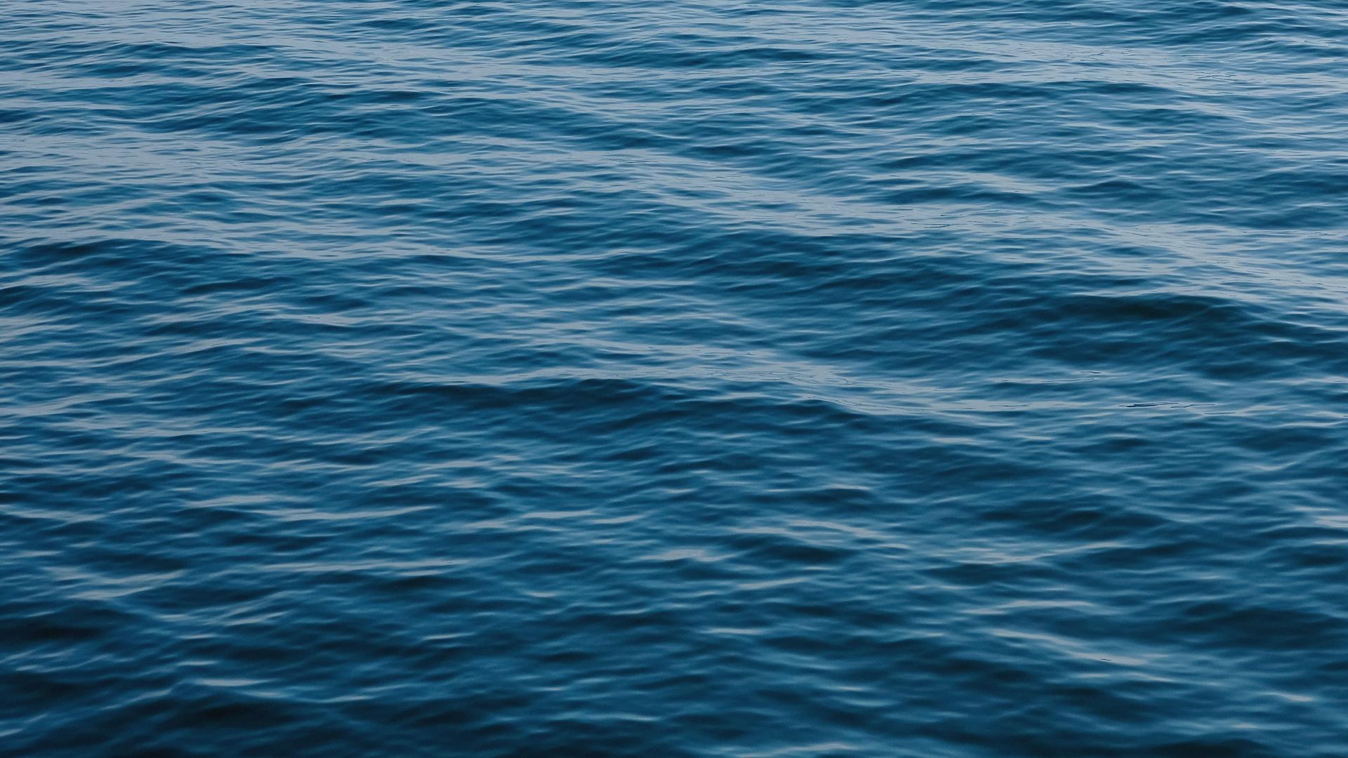 30 passengers evacuate after cruise ship hits reef near filming ...
