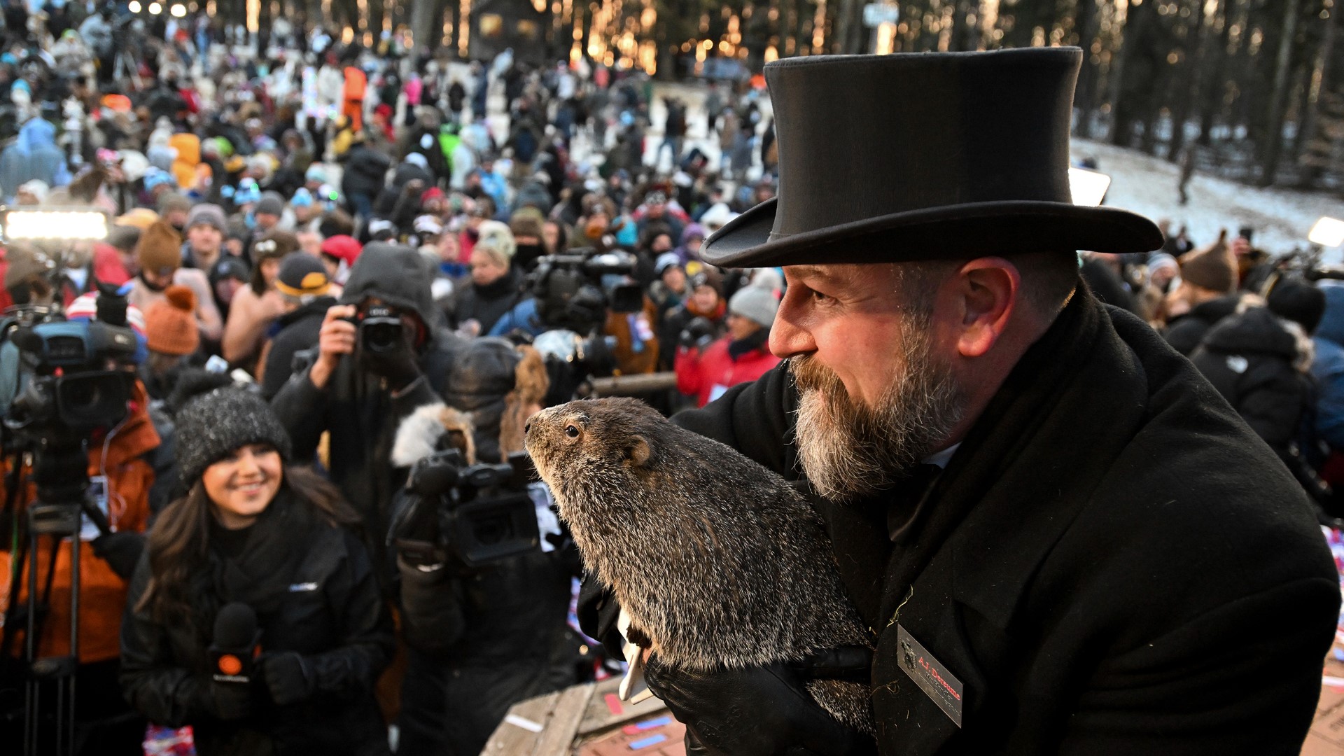 How accurate are Groundhog Day predictions? Punxsutawney Phil accuracy ...