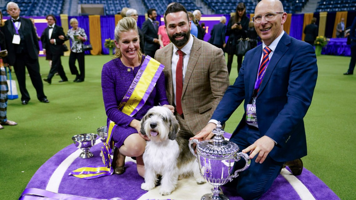 Fierce competition at the 147th Westminster Kennel Club Dog show | wkyc.com