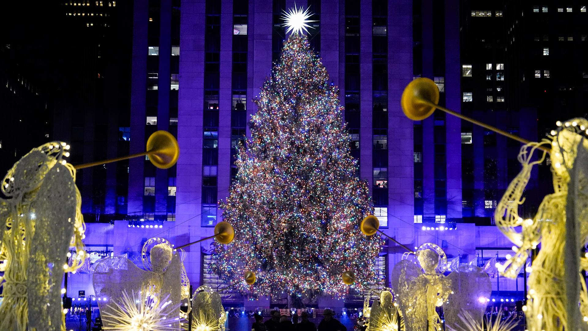 Rockefeller Center reveals this year's Christmas Tree selection | wkyc.com