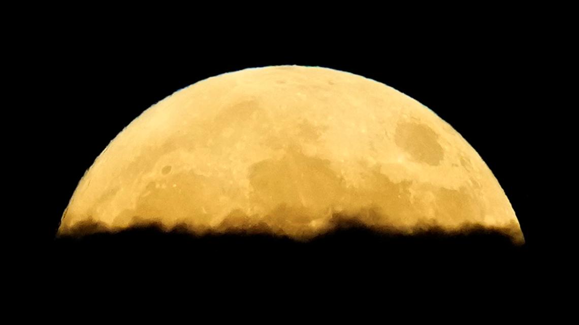 Women Who Lead: Progressive Insurance CEO Tricia Griffith | wkyc.com