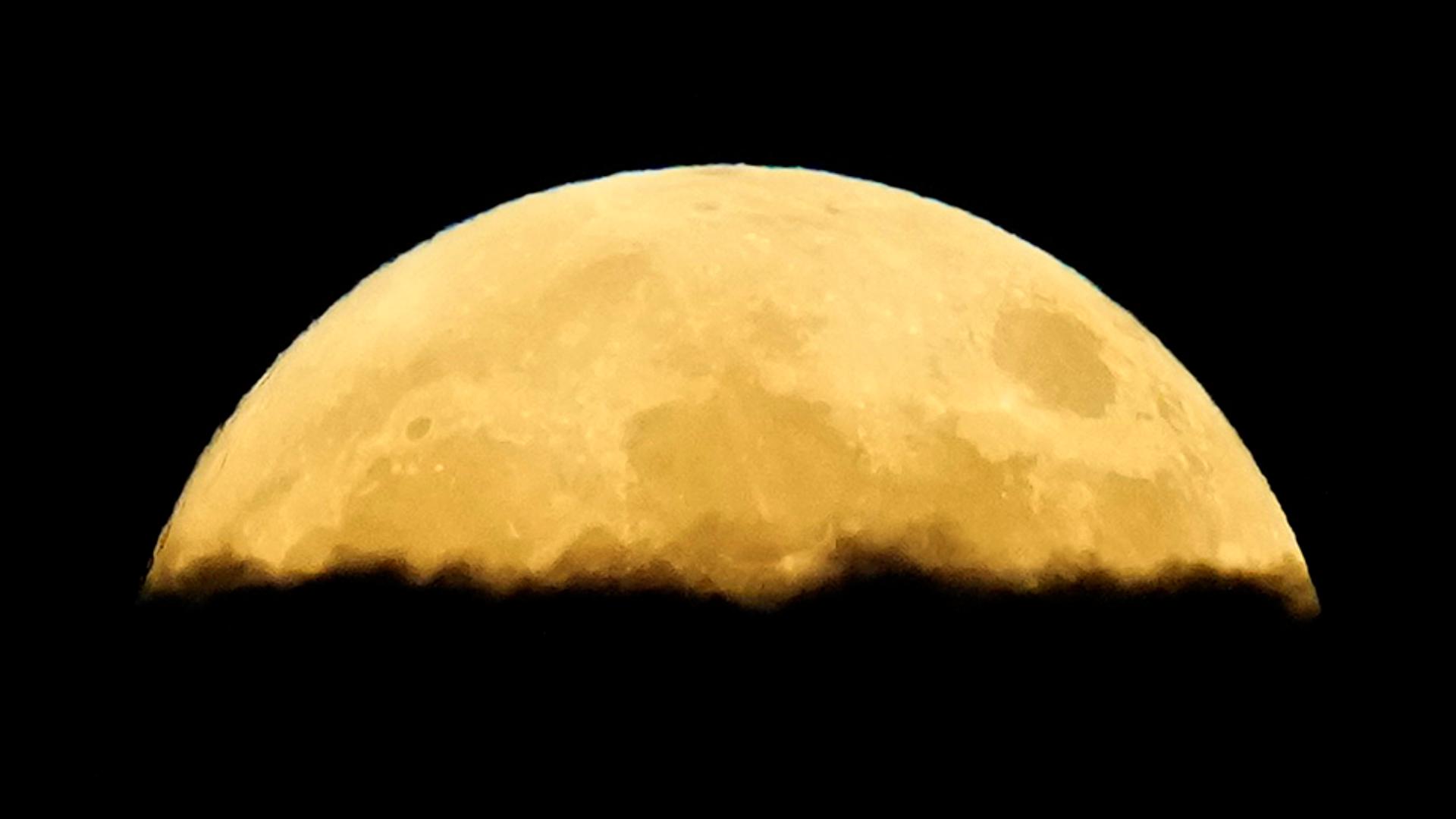 Women Who Lead: Progressive Insurance CEO Tricia Griffith | wkyc.com