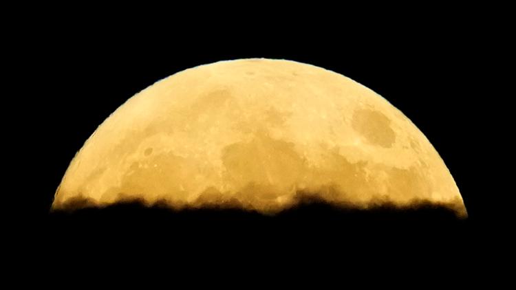 Women Who Lead: Progressive Insurance CEO Tricia Griffith | wkyc.com