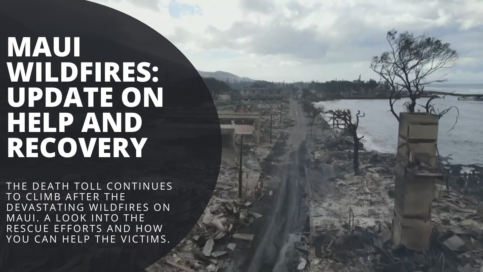 Maui, Hawaii wildfire update: Many still missing, 114 dead | wkyc.com