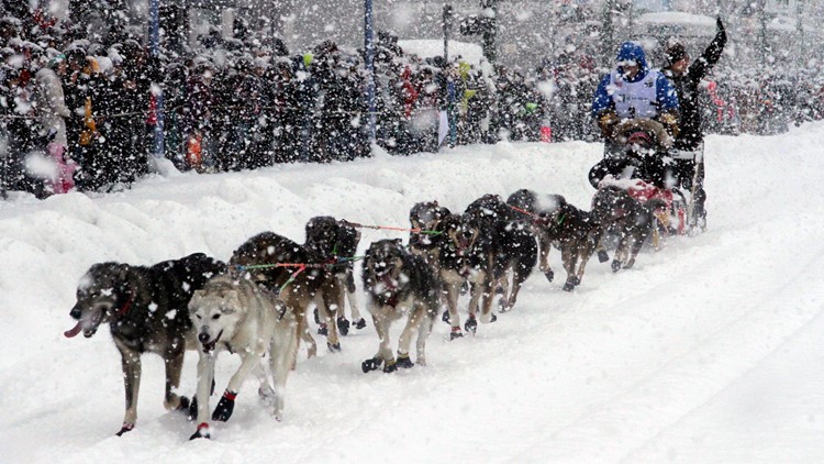 50th Iditarod race starts with 49 mushers | wkyc.com