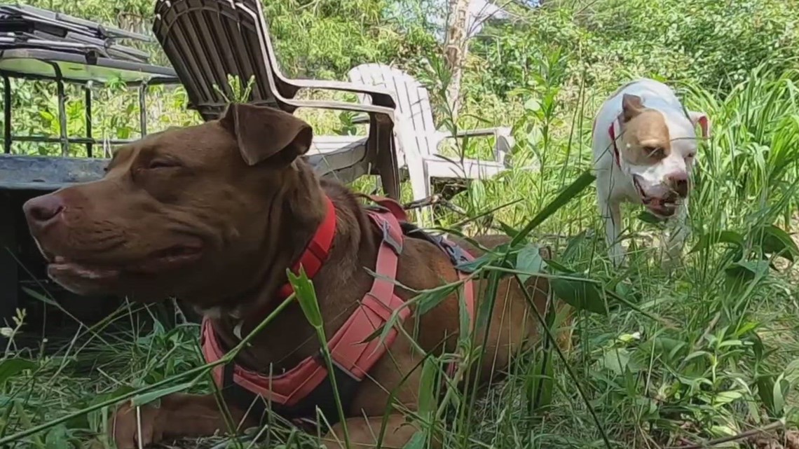 Brenda and Linda: Happily together after all | wkyc.com
