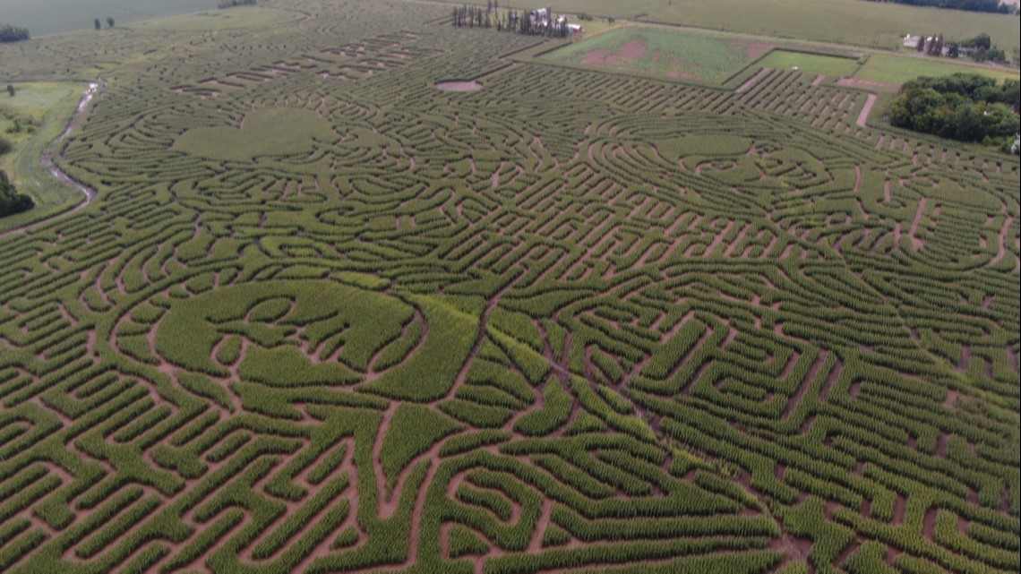 Minnesota farm looks to become world's largest corn maze | wkyc.com