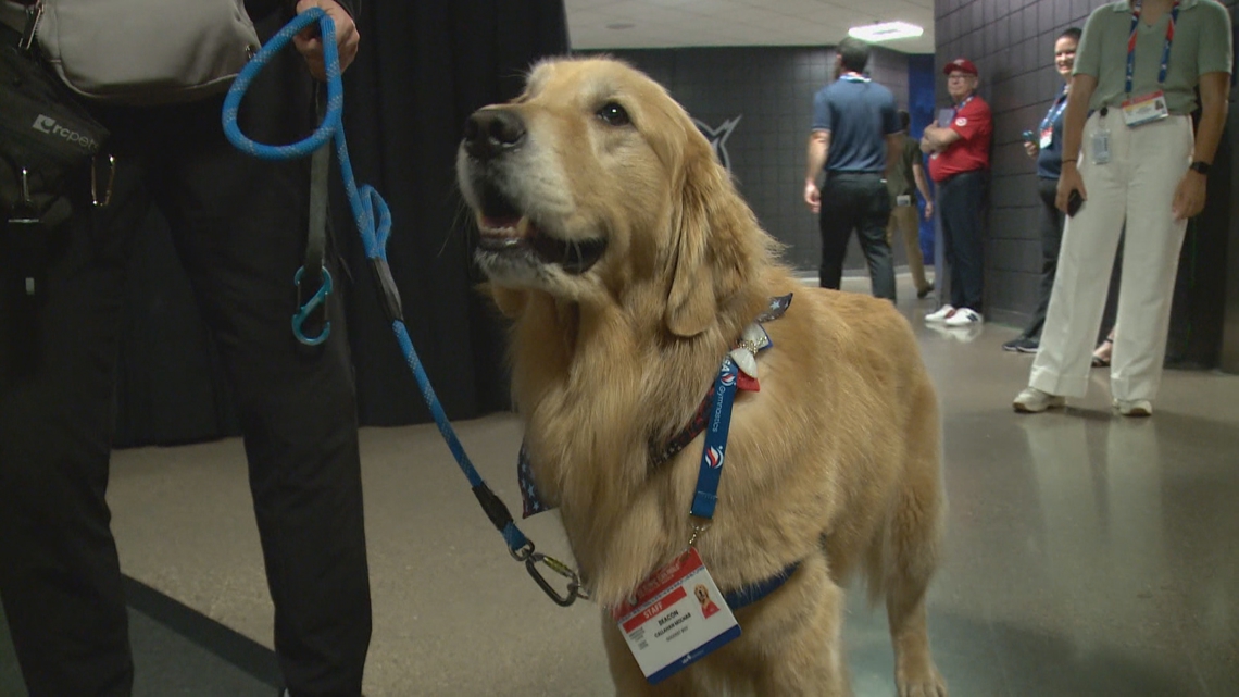 Beacon therapy dog | wkyc.com