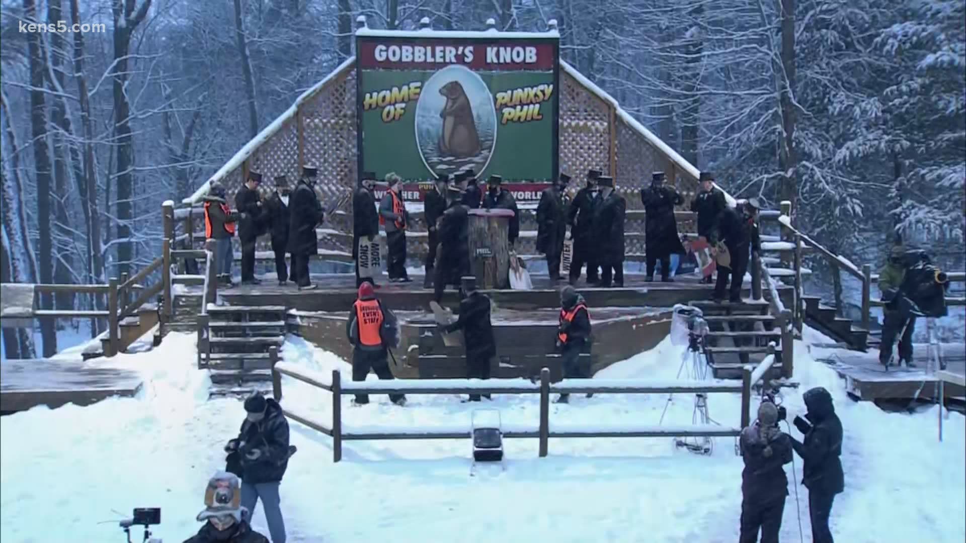 Groundhog Day How Many Times Has The Groundhog Seen His Shadow Wkyc