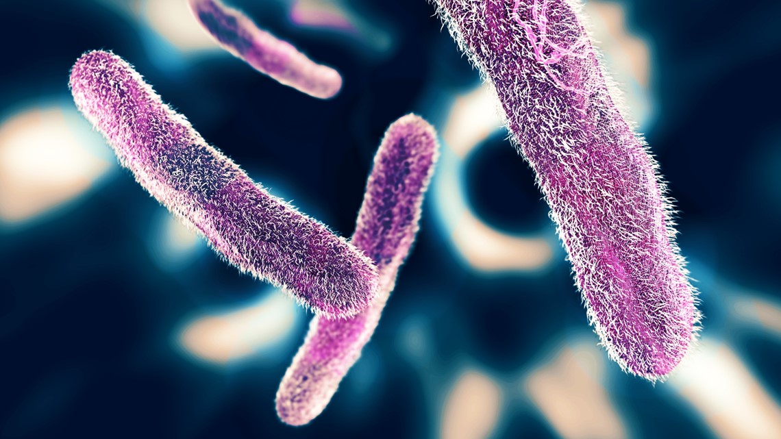 What you should know about the new Shigella strain | wkyc.com