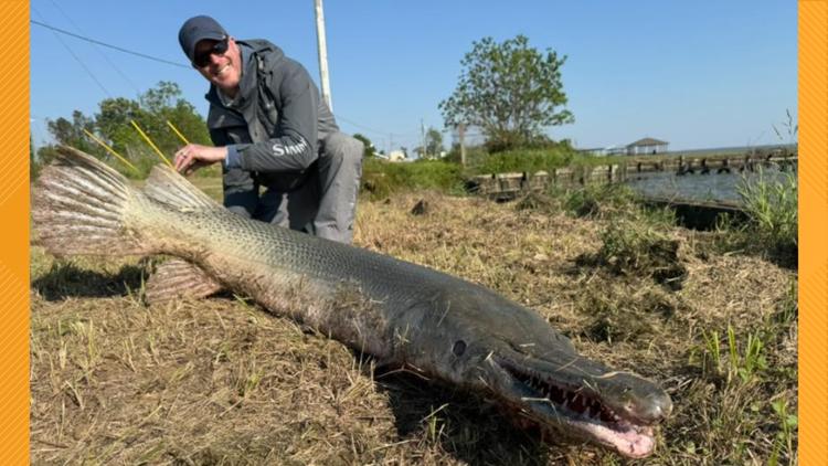 Man catches 153-pound alligator gar on Lake Livingston | wkyc.com