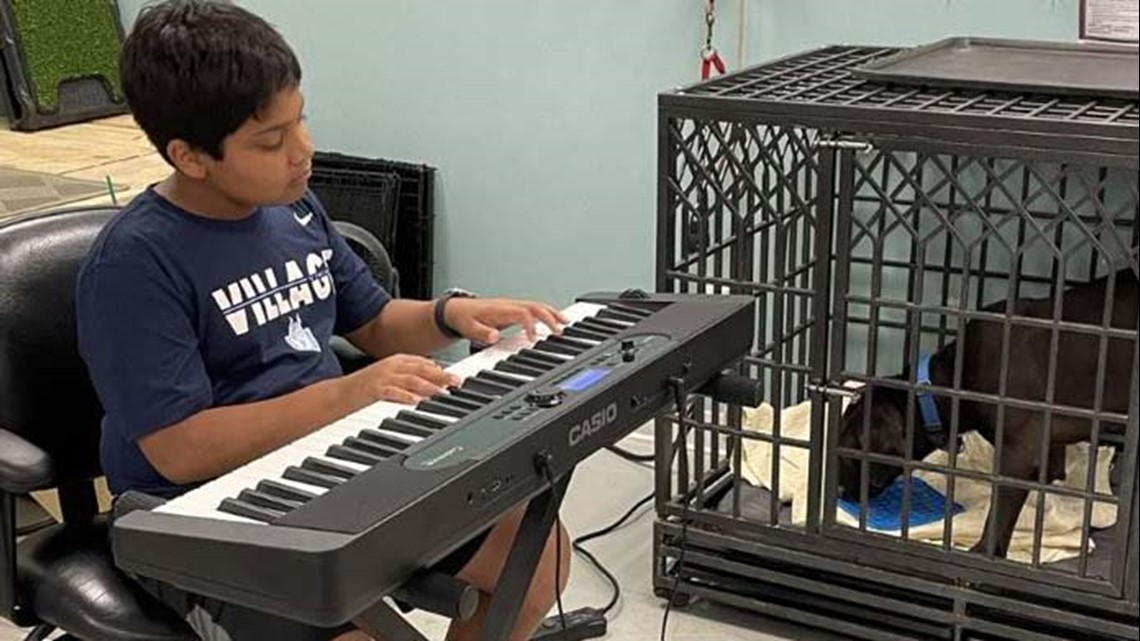 Fifth grader plays piano for dogs at rescue to help them relax | wkyc.com