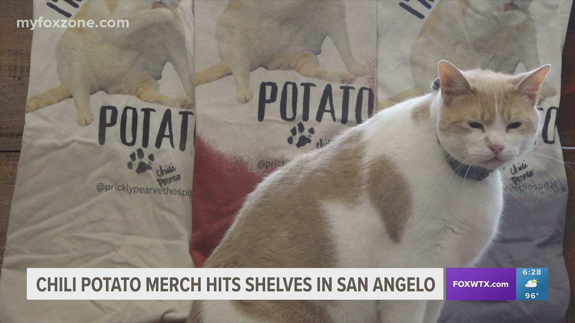 Meet West Texas TikTok star, Chili Potato the cat | wkyc.com