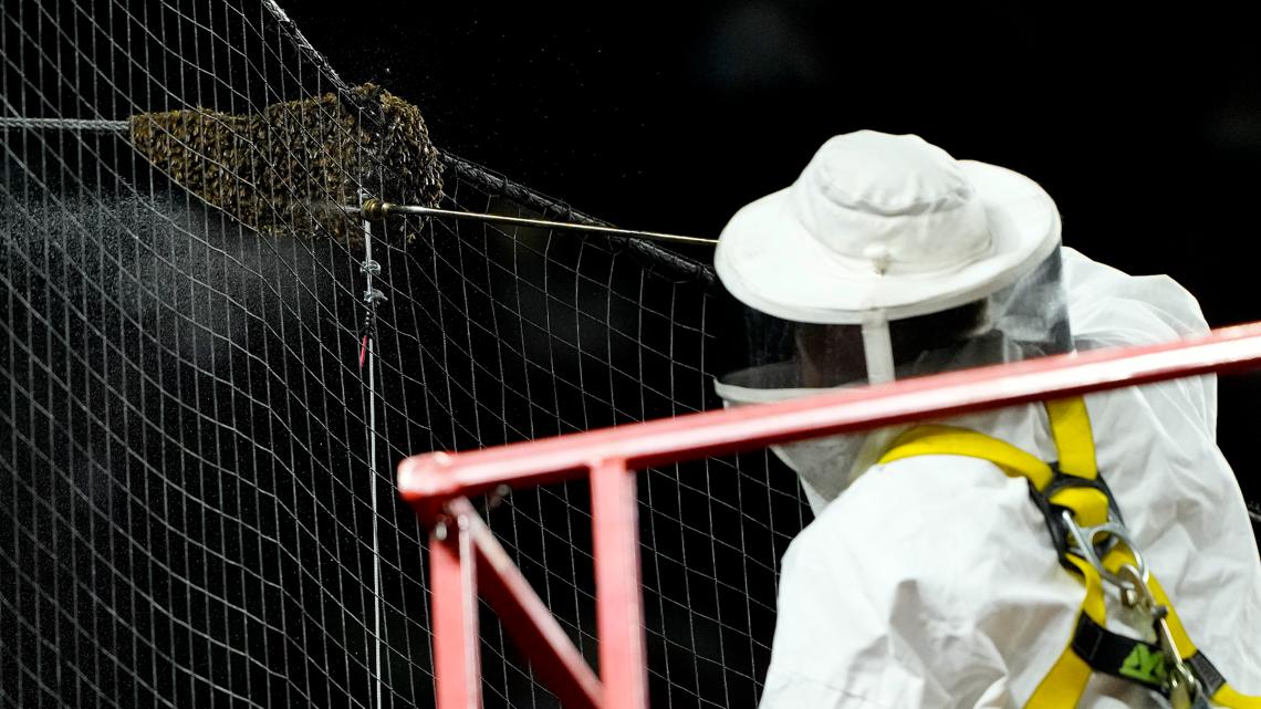 Bee delay: Diamondbacks game pushed by due to colony of bees | wkyc.com