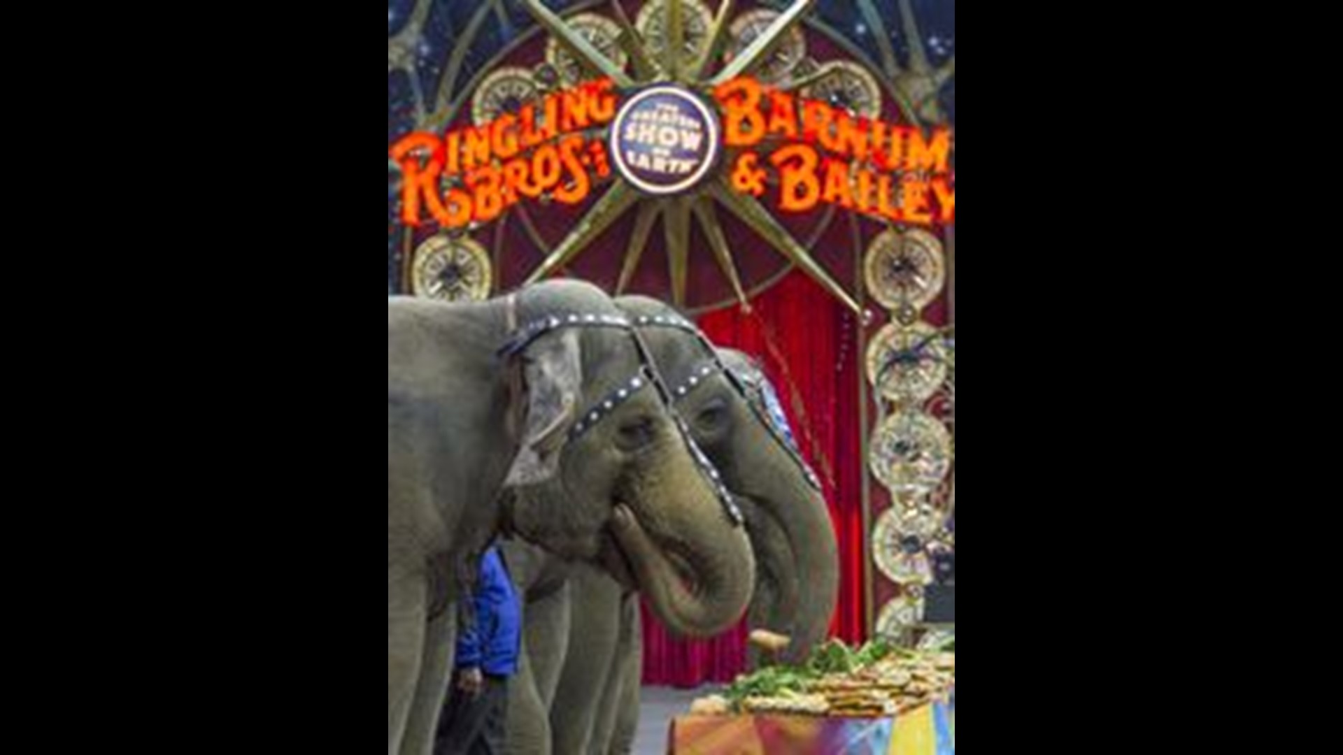 Ringling Bros. circus elephants set for final act Sunday | wkyc.com