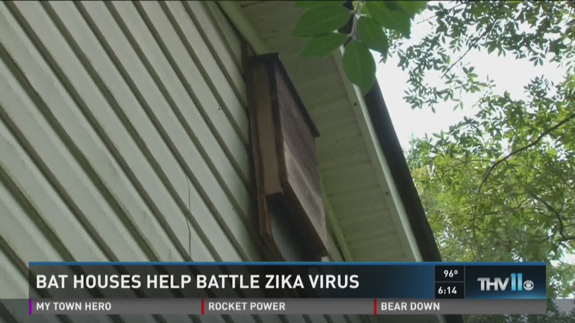 How bat houses are helping fight Zika virus | wkyc.com