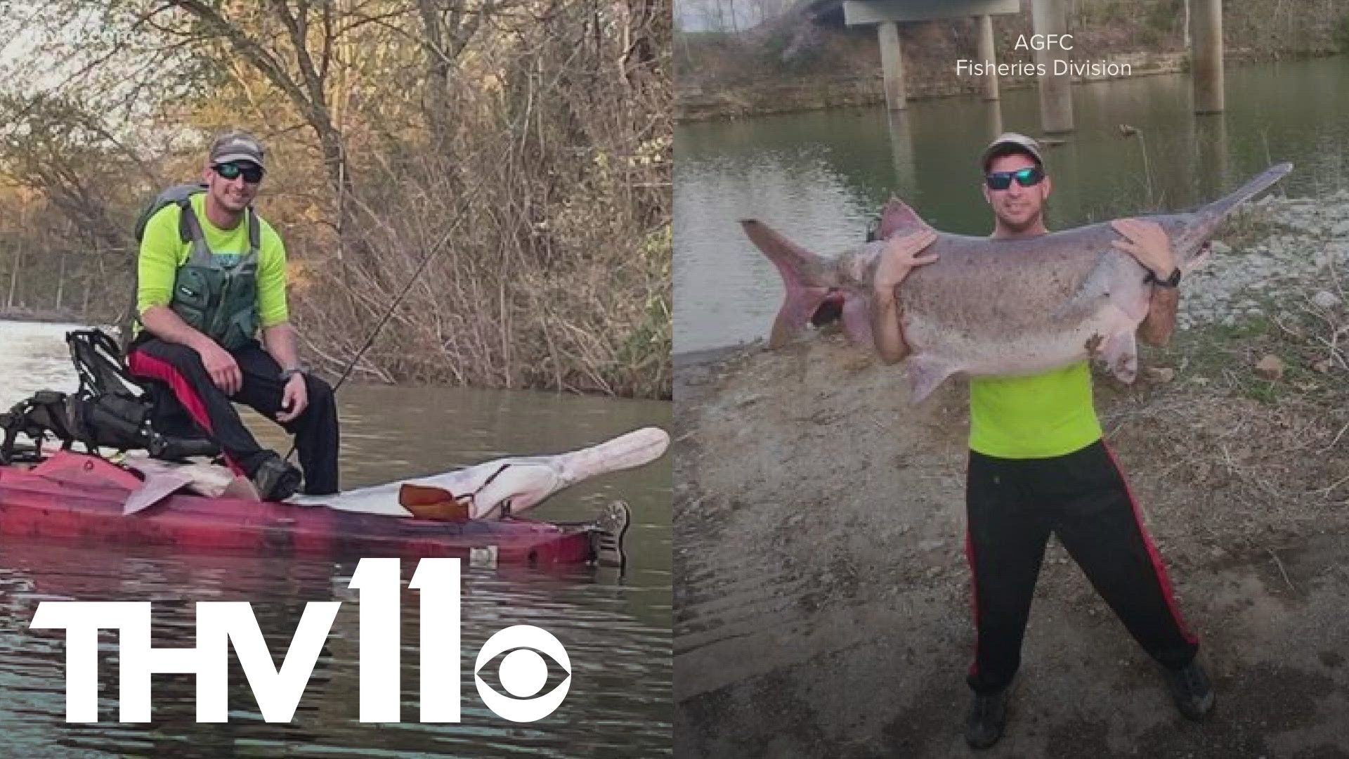 Arkansas man catches 102-lb prehistoric fish | wkyc.com