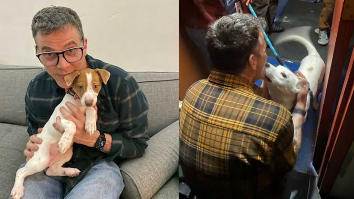 Steve-O helps Idaho Humane Society dog find 'furever' home, owner ...