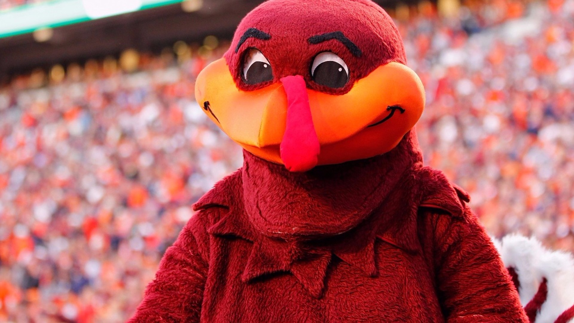 9 inexplicable NCAA basketball mascots | wkyc.com