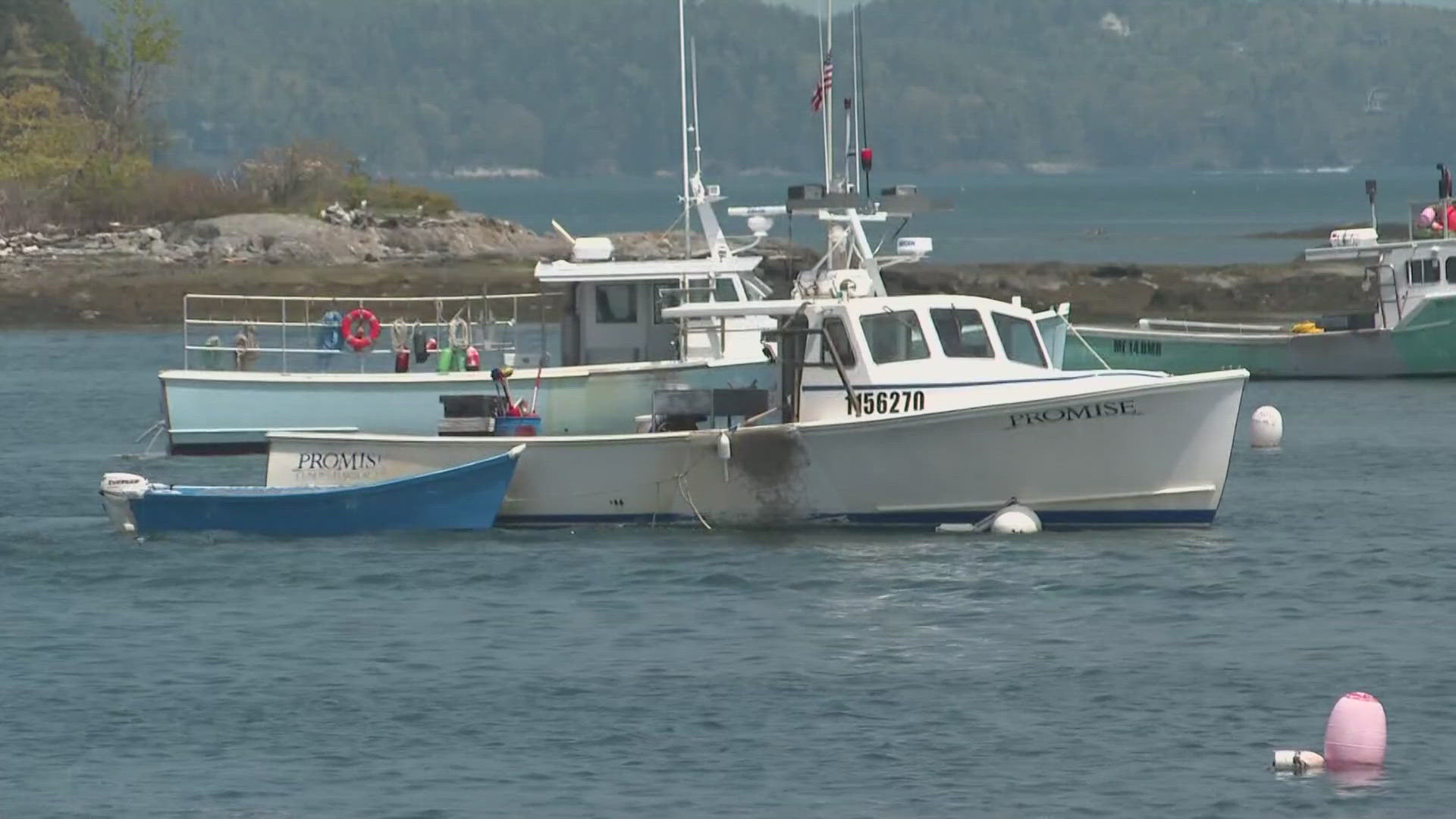Who is new Cleveland Police Chief Dorothy Todd? | wkyc.com