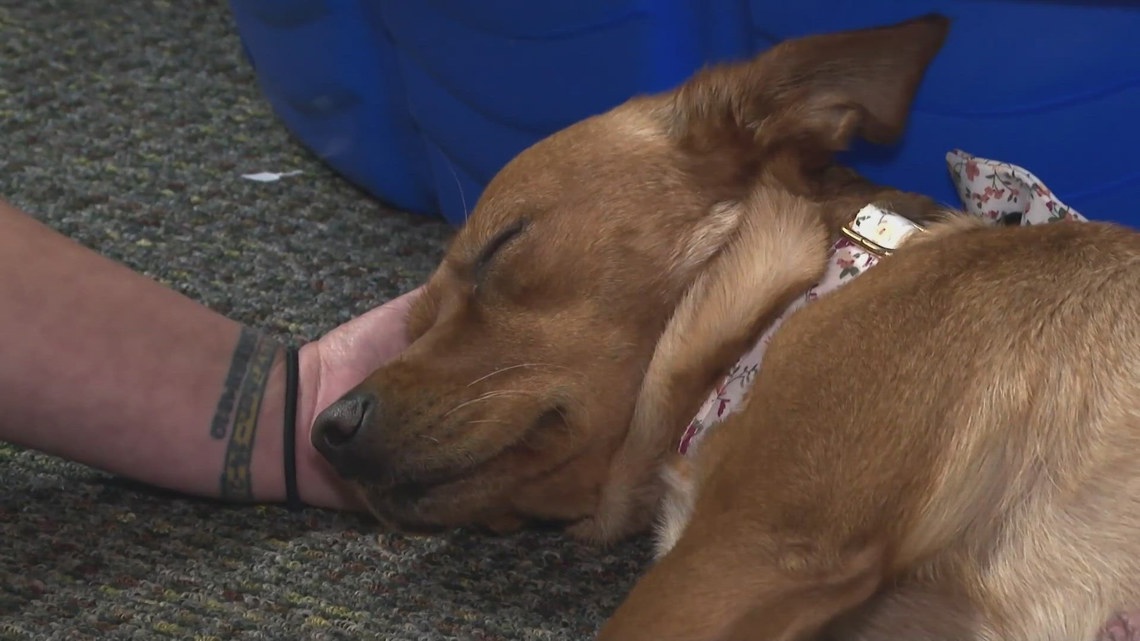 A trip down memory lane to visit the classic Demon Drop ride | wkyc.com