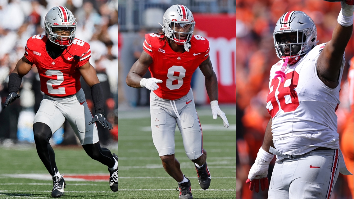 Trio of Ohio State football players on defense win Big Ten individual ...