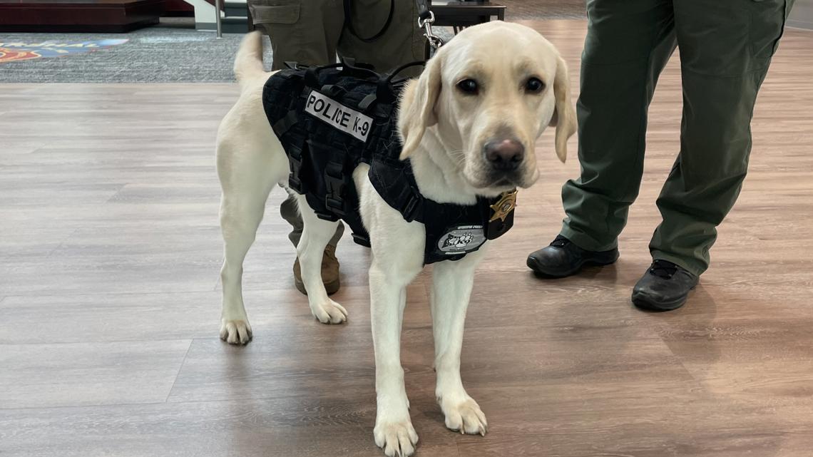 K-9 Karl joins Ohio's Fire Marshal team in explosive detection | wkyc.com