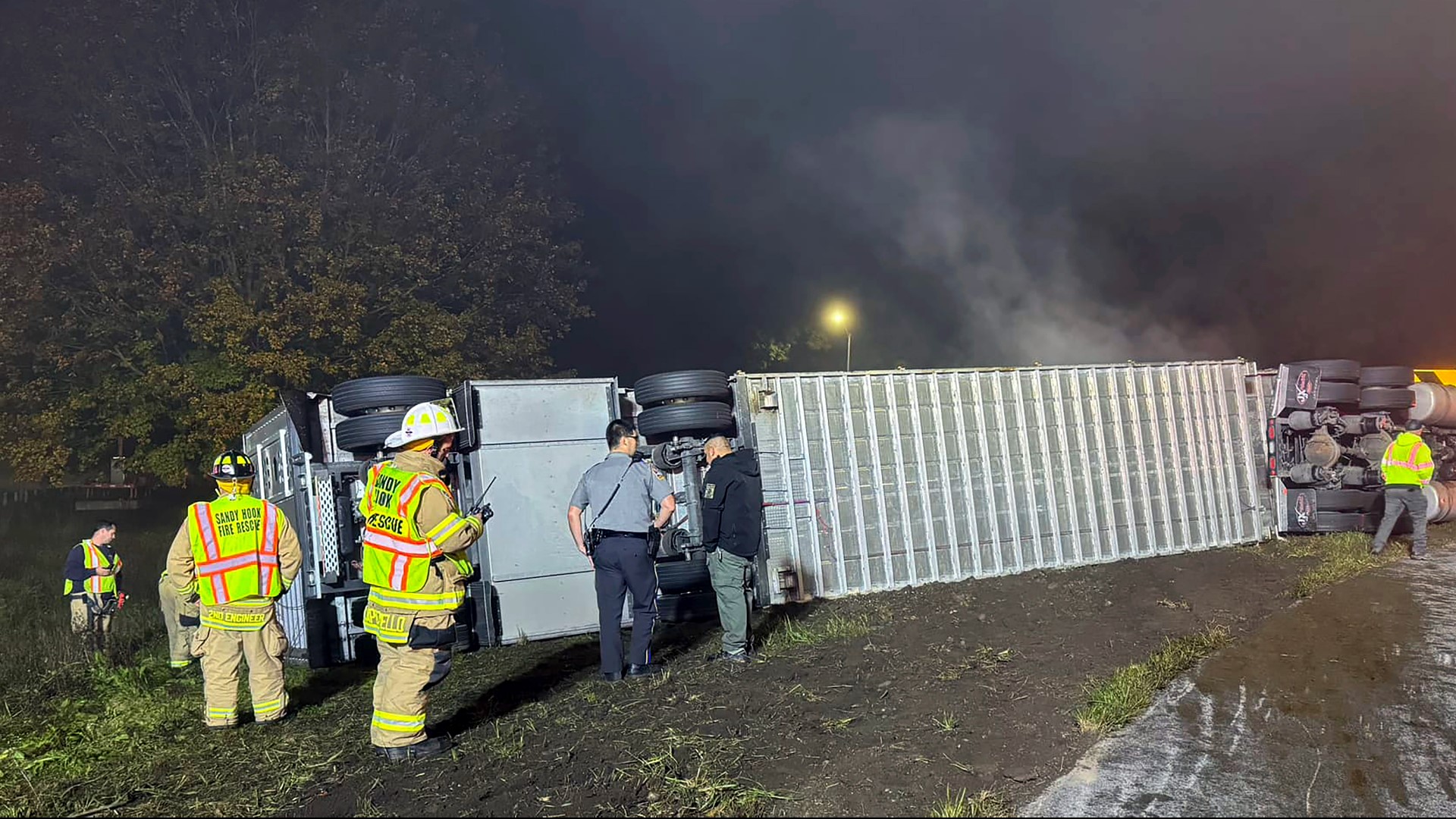 14 cows killed in semi crash | wkyc.com
