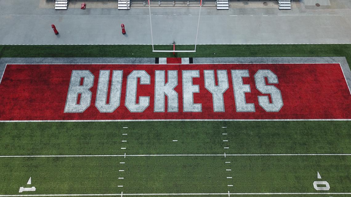 Poppy the baby pygmy hippo can be watched live from Virginia zoo | wkyc.com