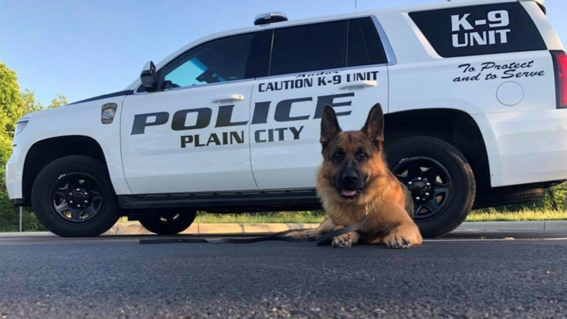 Plain City police K9 dies after being diagnosed with lymphoma | wkyc.com