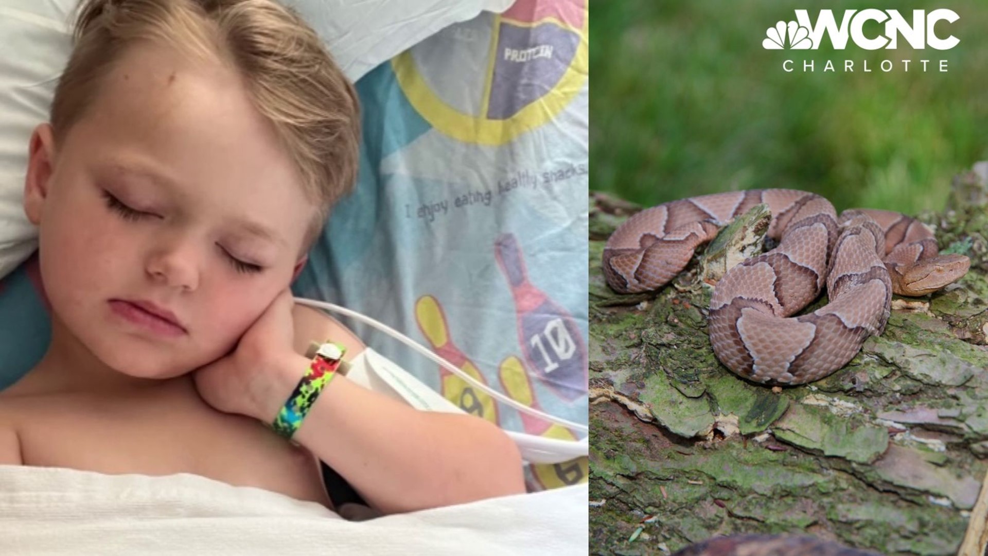 Family's smart response to copperhead bite saves 4-year-old boy | wkyc.com