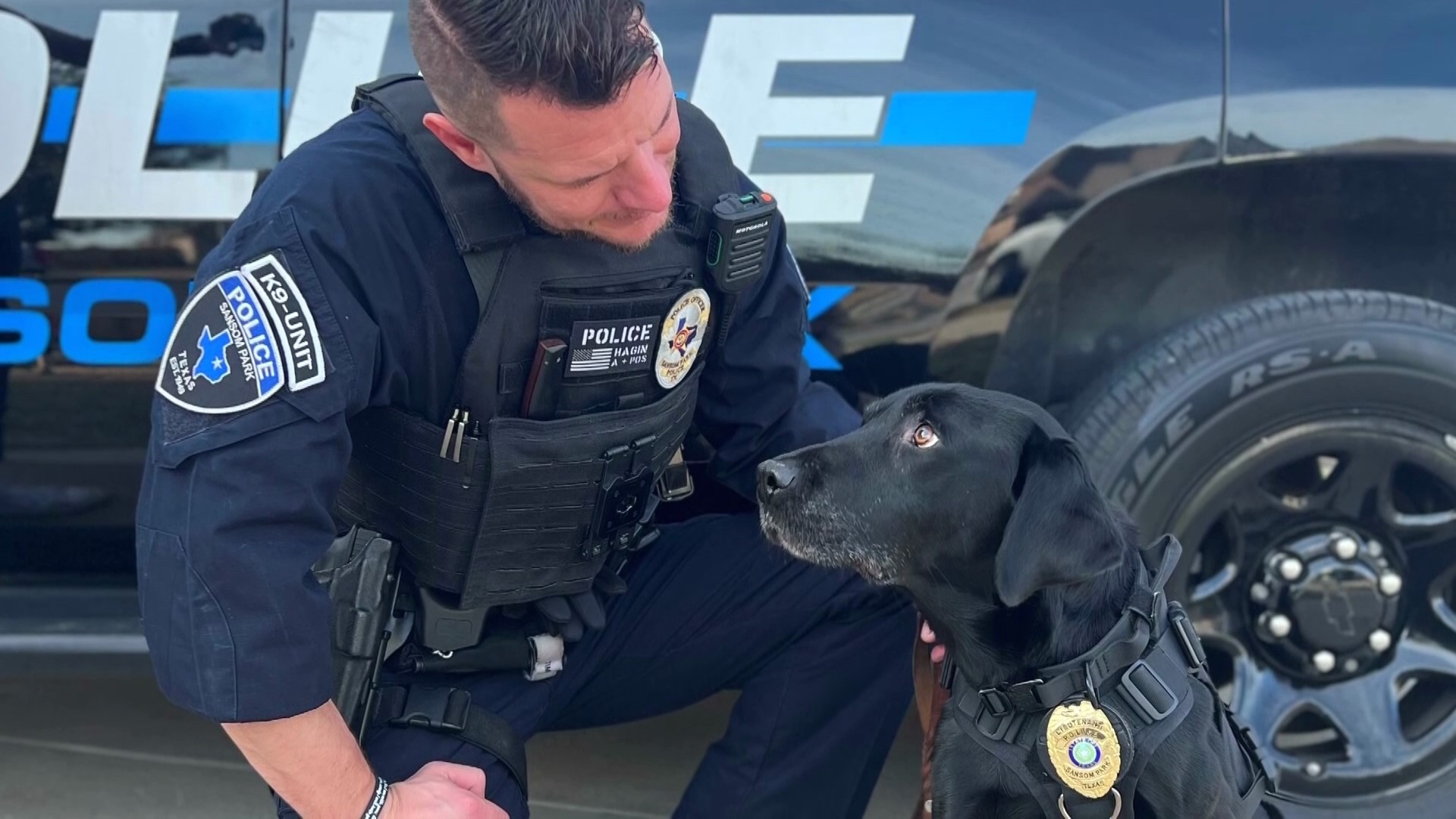 Texas K-9 officer Lt. Dan dies after recent cancer diagnosis | wkyc.com