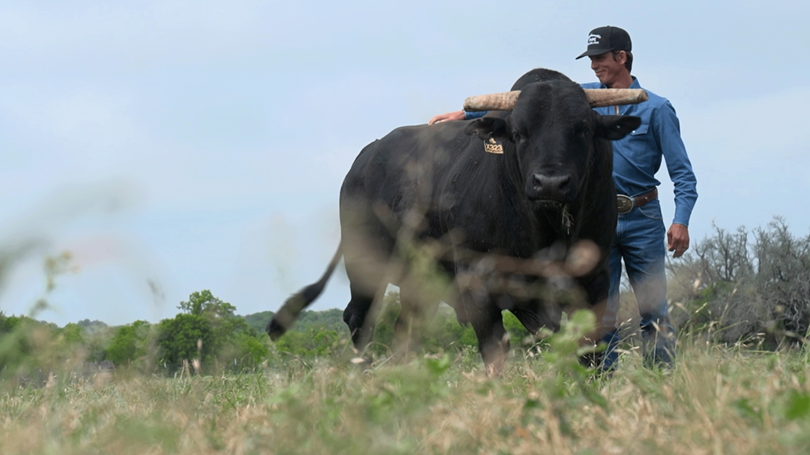 J.B. Mauney keeps the last bull rode: Meet Arctic Assassin | wkyc.com