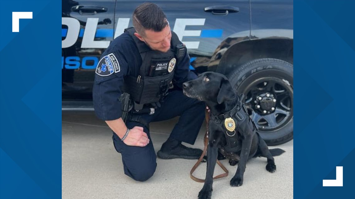Texas K-9 officer Lt. Dan dies after recent cancer diagnosis | wkyc.com