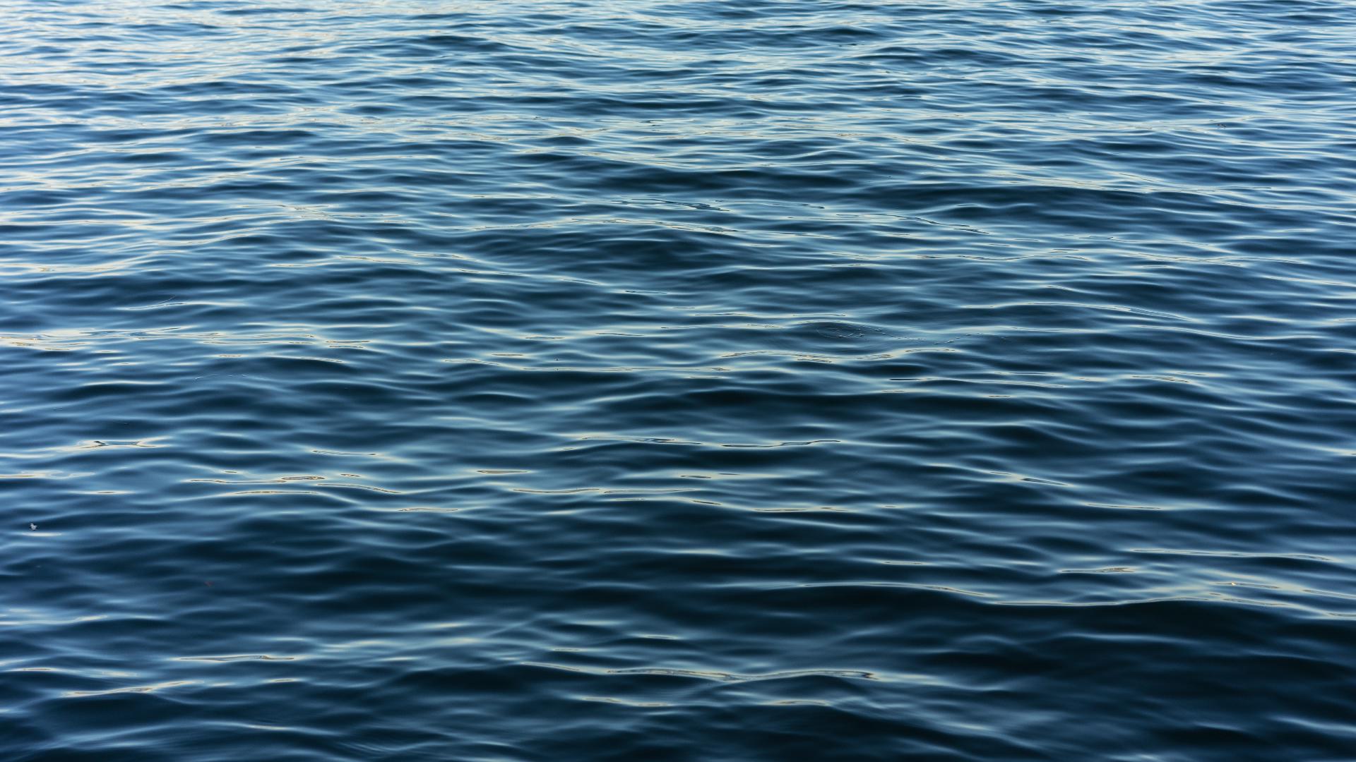 VERIFY: How accurate are WebMD results? | wkyc.com