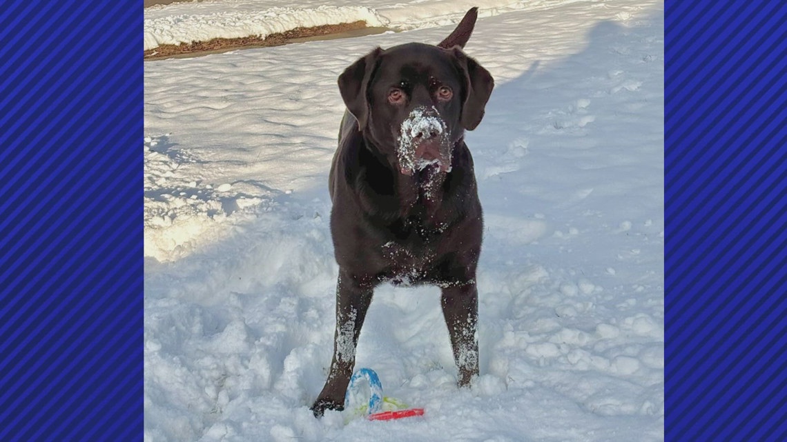 Doggone Weather in Northeast Ohio for Jan. 2, 2026: Meet Murphy | wkyc.com