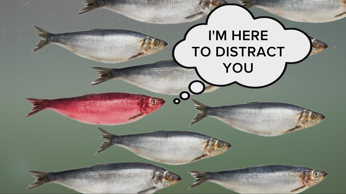 Why some Northeast Ohio officials say Issue 1 is a red herring | wkyc.com