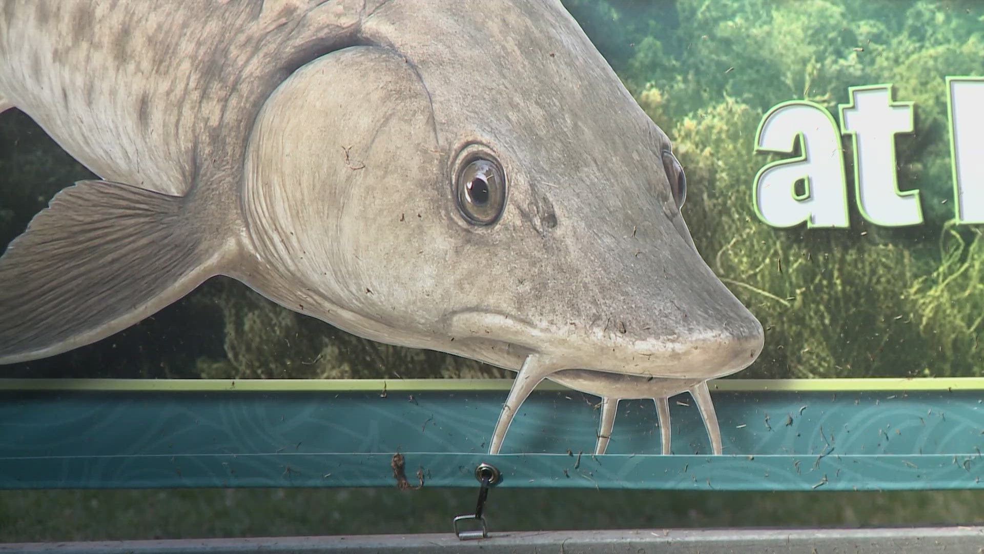 What are the Superman filming locations in Cleveland? New movie finally ...