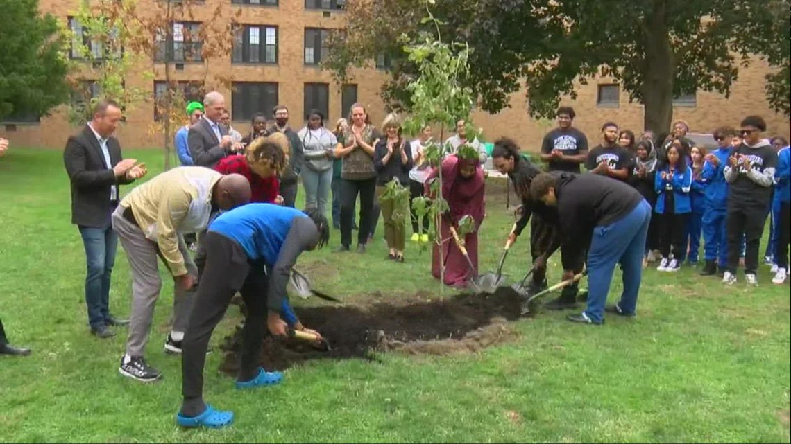 Jesse Owens Olympic oak sapling planted at James Ford Rhodes High ...