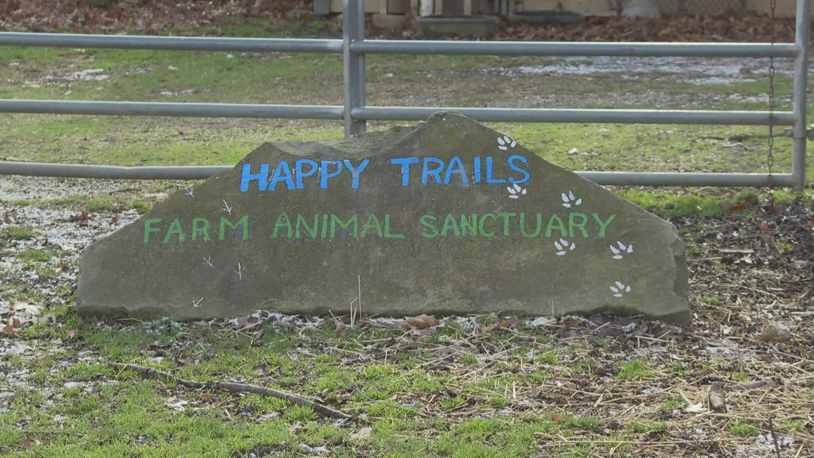 Mysterious monthly donor helps Happy Trails Farm Animal Sanctuary in ...