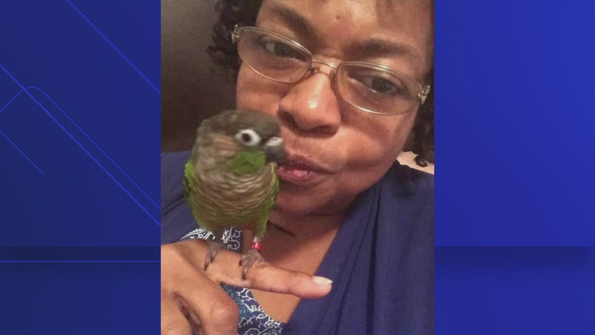 Domestic violence advocate Laura Cowan warns of pet search-and-rescue ...