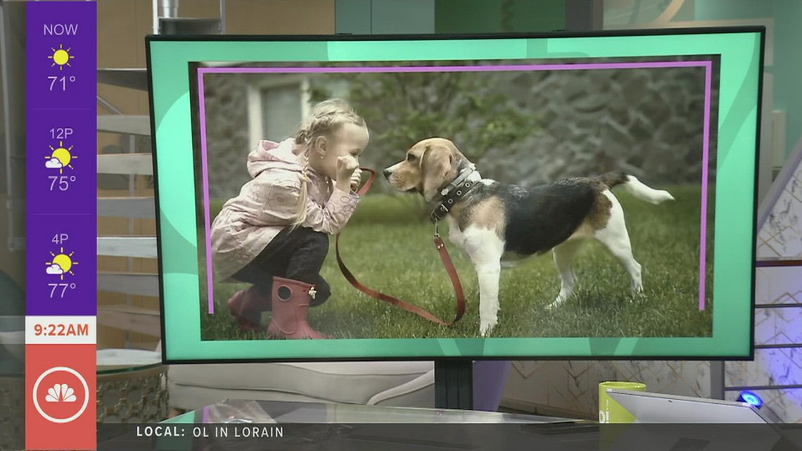 Adopt-A-Pet: Meet Moses from Friendship APL | wkyc.com