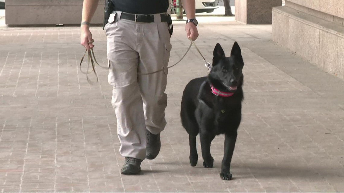 Cleveland police introduce emotional support K9 officer | wkyc.com