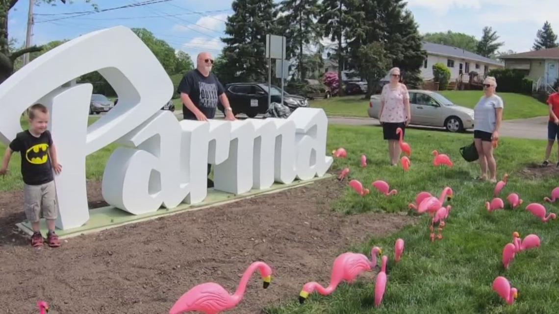 Parma to unveil flamingo as official city mascot | wkyc.com