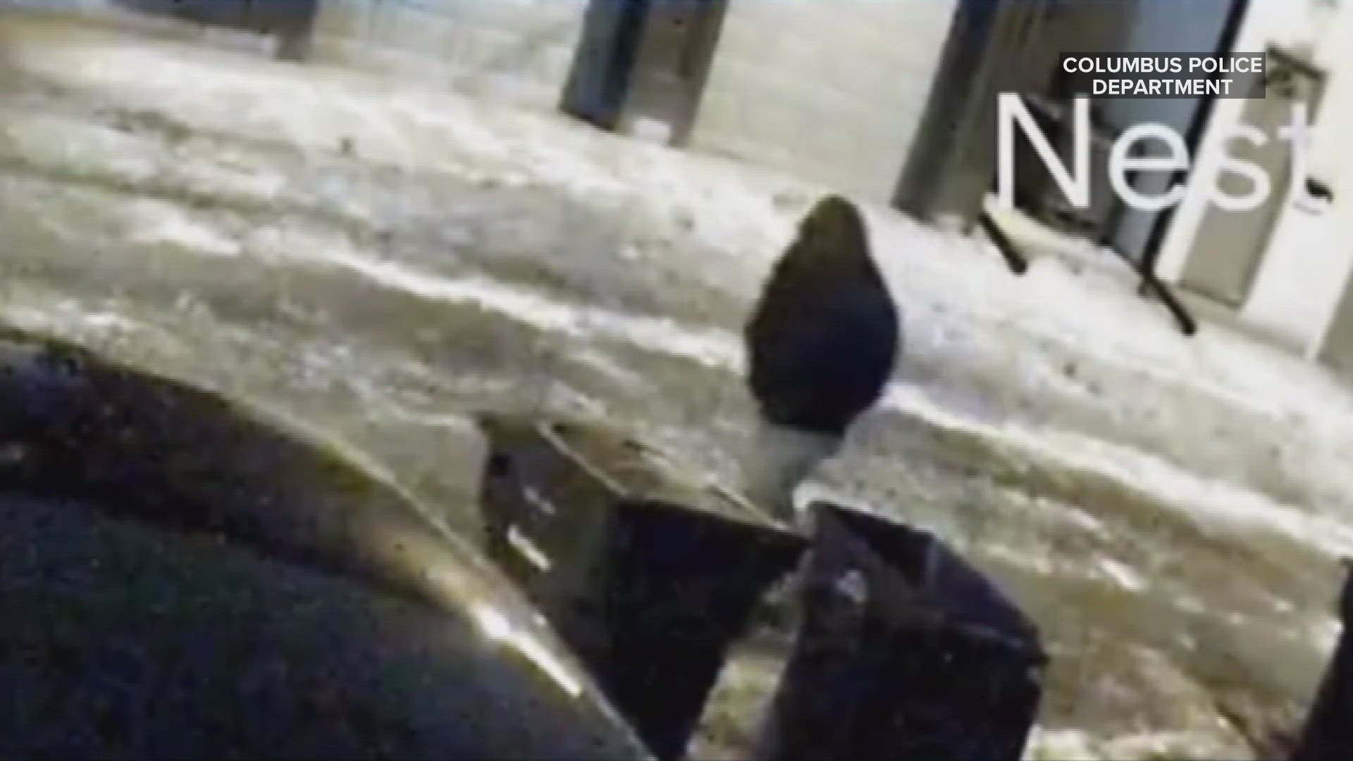 Can any vehicle help fight a wildfire? A federal pilot program is ...