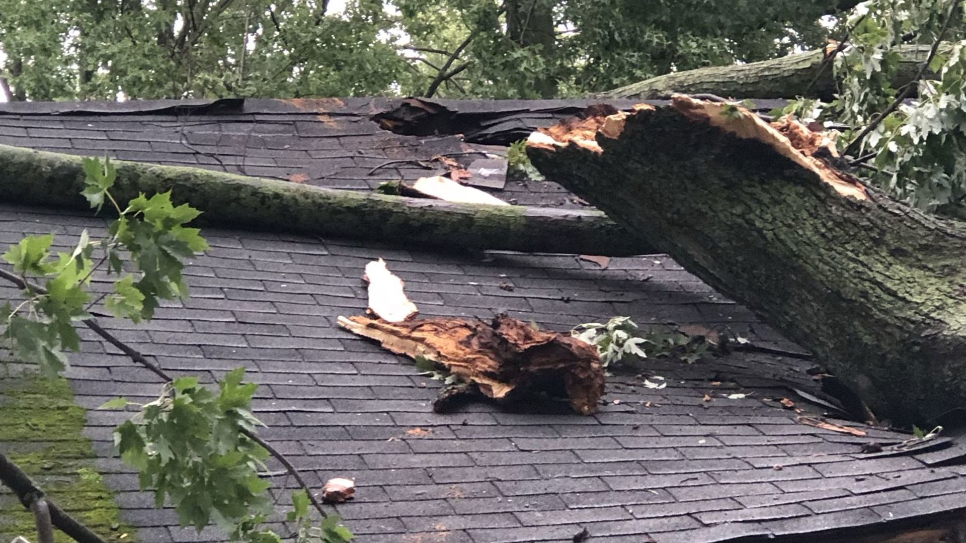 Power outages in Northeast Ohio: FirstEnergy updates | wkyc.com